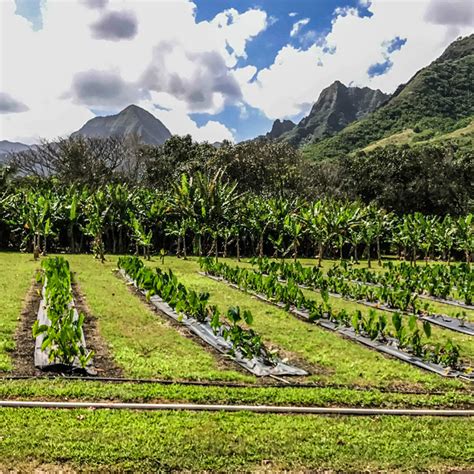 Testing Standards Bulletproof