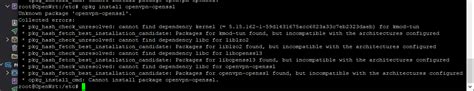 Openvpn And Kmod Tun 23054 X8664 Installing And Using Openwrt