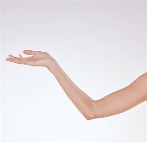 46000개 이상의 경첩 관절 스톡 사진 그림 및 Royalty Free 이미지 Istock