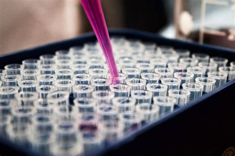 Forensic Science Games True Crime Forensics Podcasts Games