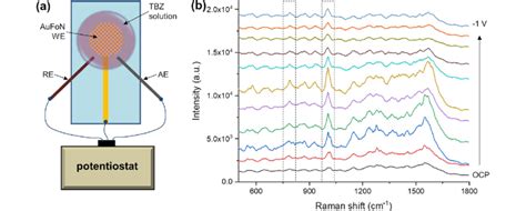 A Scheme Of The Ec Sers Setup Configuration B Potential Dependent Sers