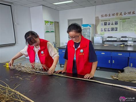 图为团队成员测量油菜的主序长、一次分枝高、分支数、株高。四川文化网通讯员 谢佳琪 摄 请输入相册名称 四川文化网—四川文化网门户网站