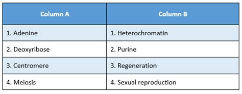 Wbbse Solutions For Class 10 Life Science Chapter 2 Cell Division And Cell Cycle Wbbse Solutions