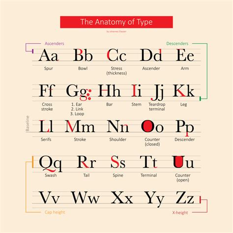 Graphic Design Lt 3 2 The Anatomy Of Type Johannes Eliassen