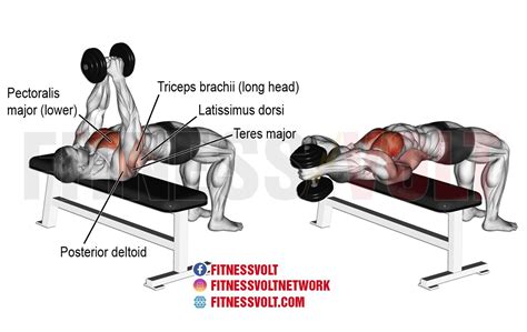 Dumbbell Pullover Chest Fitness Volt