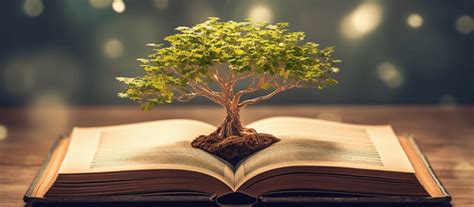 Part 1 The Proliferation Of Intervention Programmes And Thinking For