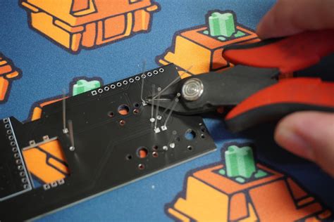 Cerberus Assembly Guide