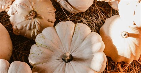 집 밖의 가을 가을 분위기 가을 장면 가을 장식 가을 전통 가을 축제 가을의 수확 가을의 준비 계절 계절별 전시 국가 농산물 농업 농장 다양