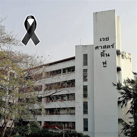 Rehab 🧠 สรุปข้อมูลล่าสุดจาก Nejm 2025 ผ่าตัดใส่ท่อระบายน้ำไขสันหลัง