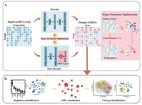 metasem gene regulatory network inference from single cell rna data by