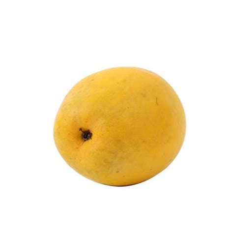 모과 메가마트몰