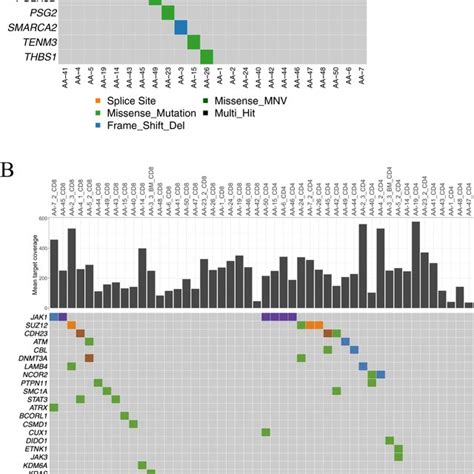 Somatic Mutations Related To Lympho Myeloid Clonal Hematopoiesis In