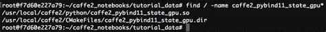 no support gpu warning on tutorial with nvidia docker · issue 1895
