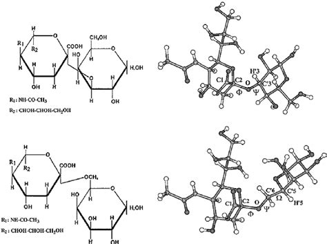 Illustration Of The Structures Of The Two Isomeric Forms Of The Download Scientific Diagram