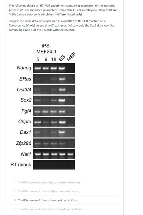 solved the following data is an rt pcr experiment comparing