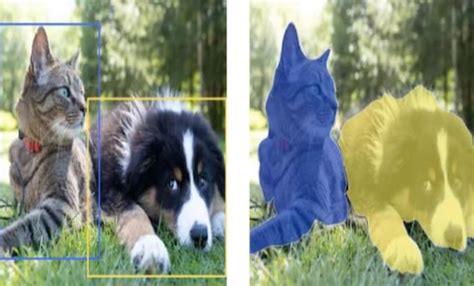 Do Machine Learning Deep Learning Computer Vision Projects By