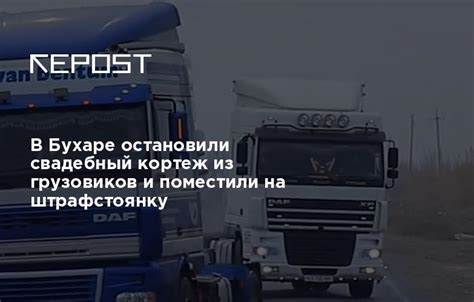 В Бухаре остановили свадебный кортеж из грузовиков и поместили на штрафстоянку