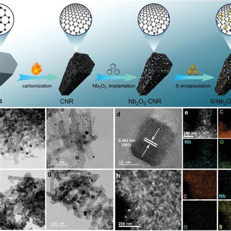 Synthesis And Morphologies Of Samples A Schematic Illustration Of The