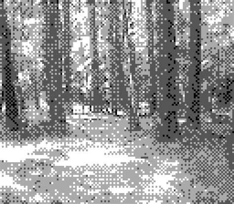 Took My Gameboy Camera On A Hike Rgameboy