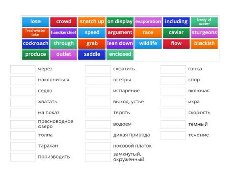 Module 3 Excel 7 Match Up