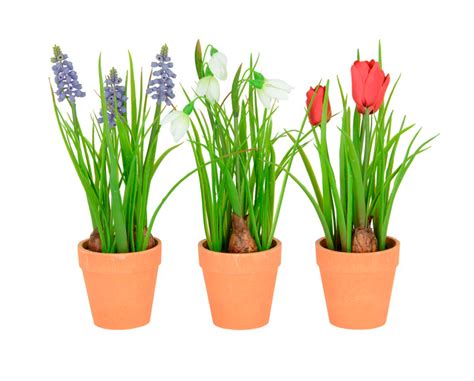 Artificial Trailing Fern Artificial Plants And Fruit Artificial Trailing Fern Artificial Plants And Fruit