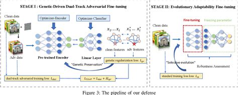 Figure From Securely Fine Tuning Pre Trained Encoders Against Adversarial Examples Semantic