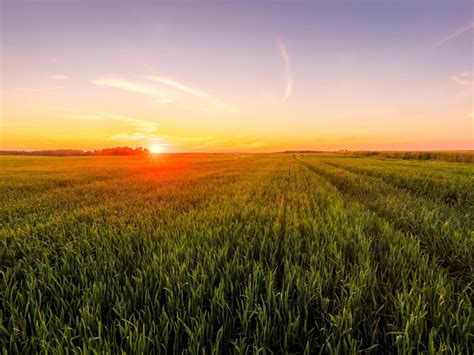 The Advantages Of Using Starter Fertilizers Dema Fertilizers