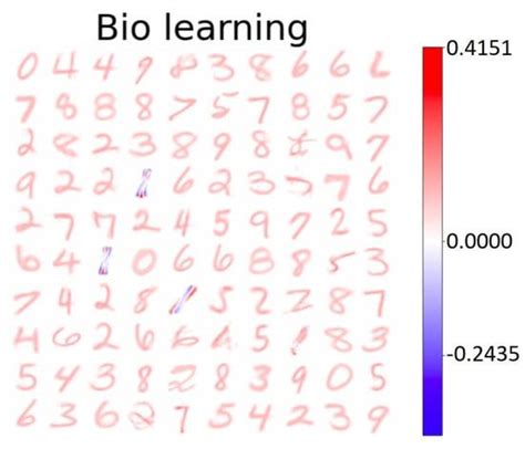Towards New Generation Biologically Plausible Deep Neural Network