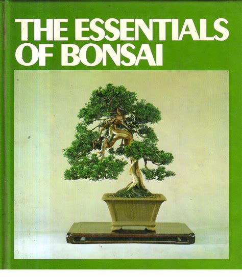 Bonsai Book At Best Book Centre