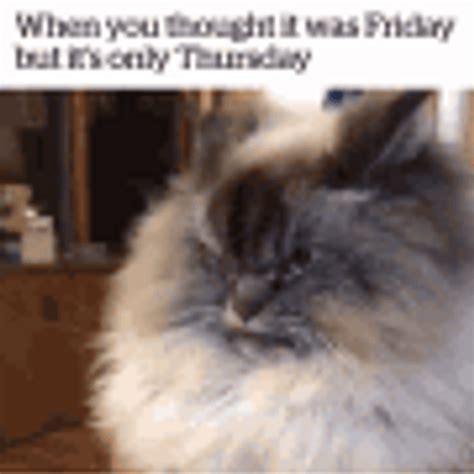 Man Hands Up Cheering Its Funny Thursday Meme 