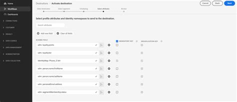 Profile Export Behavior Adobe Experience Platform