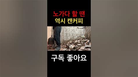 레쓰비 사오라켔지 누가 비싼거 사오라더노 Vlog 노가다 일상브이로그 일상 Youtube
