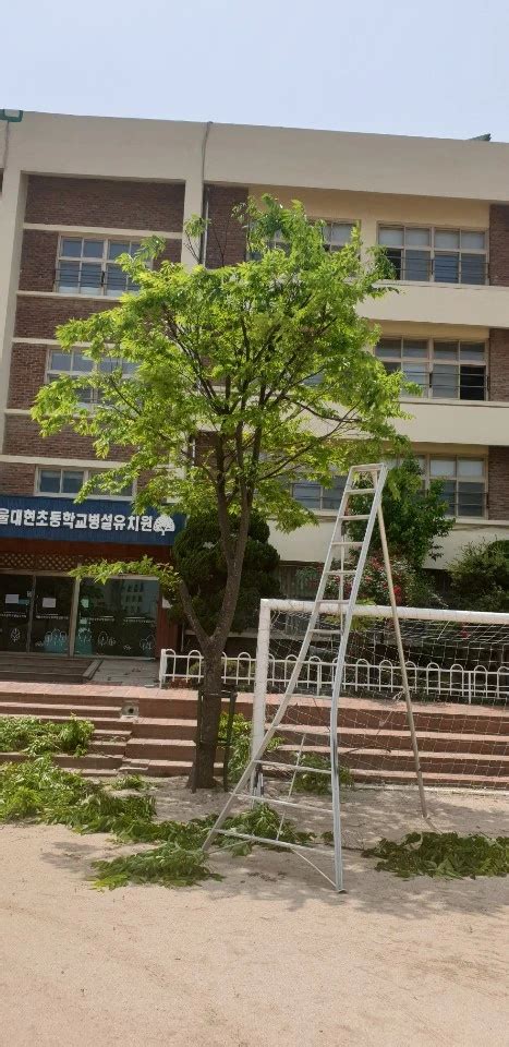 우리조경 동네업체