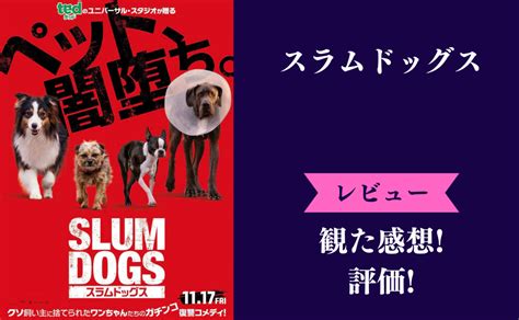 スラムドッグスの評価とネタバレ感想！子供は気まずくて微妙なのかみんなの評判も調査【pg12映画】 セントラルシアター