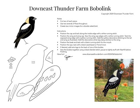 The Gregarious Bobolink Downeast Thunder Farm