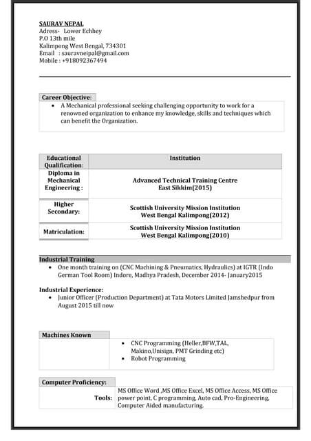 Resume Saurav 2 Pdf