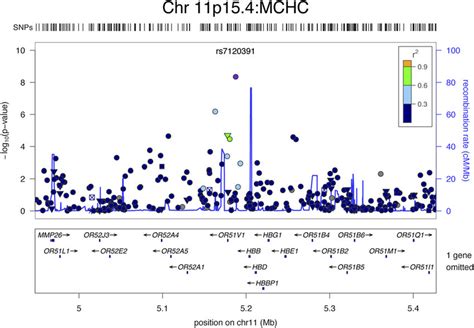 Regional Plot Of Snps On Chromosome 11p15 4 Associated With Mchc Snps Download Scientific