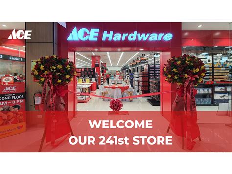 Door Closer Ace Hardware Philippines At Irene Kelly Blog