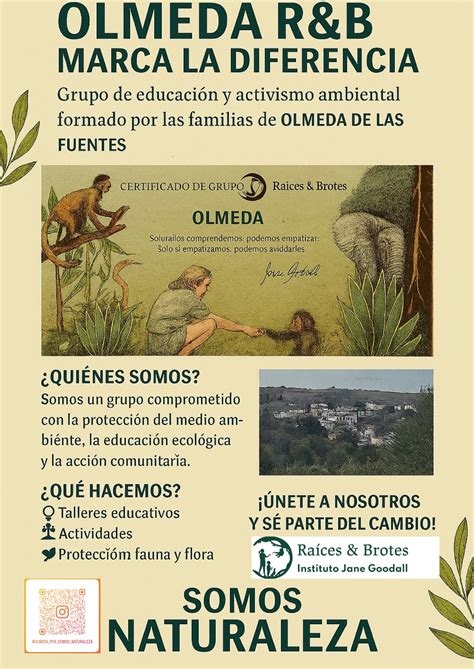 Olmeda RaÍces And Brotes