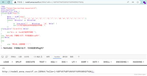 Nssctf Swpuctf 2021 新生赛 Hardrce（无字母rce） Csdn博客