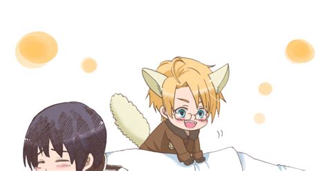 ヘタリア にゃめりかまっさーじ ひなこのイラスト Pixiv