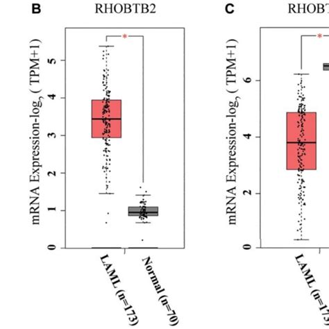 RHOBTB MRNA Expression Levels In Patients With AML GEPIA2 Box Plots