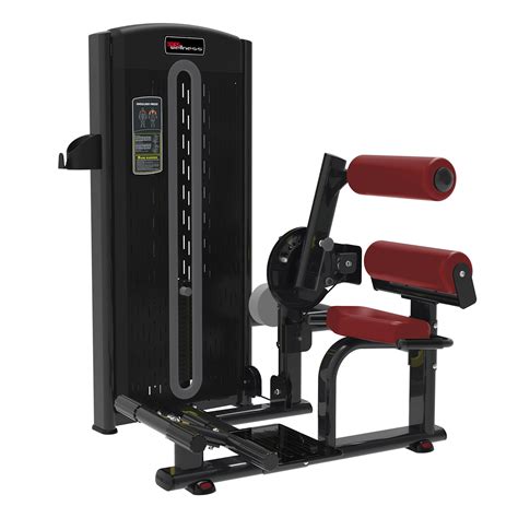 Prowellness Basic Line Abdominal Lower Back Karın ve Bel Makinesi