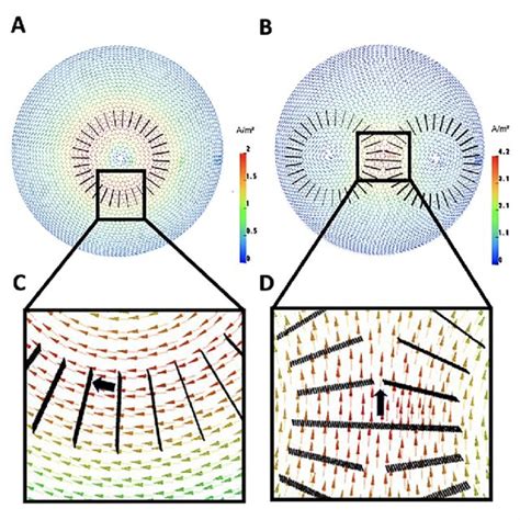Transcranial Magnetic Stimulation Tms Induced Current Density Vector Download Scientific