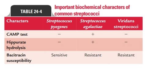 Viridans Streptococci