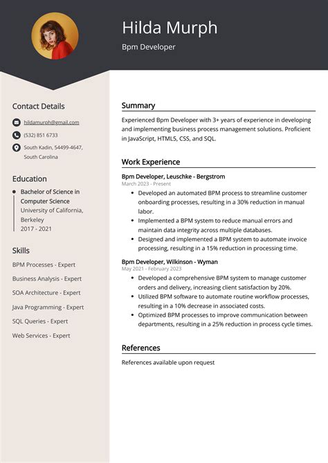 Bpm Developer Resume Example Free Guide