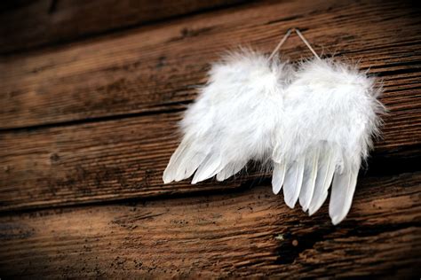 Meeting Your Spirit Guide S Remastered Powerful Guided Meditation