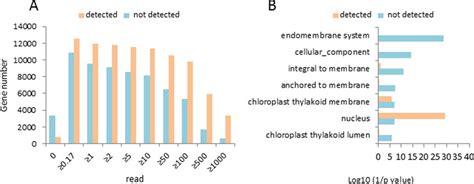 Detection Of Mrnas And Their Cognate Proteins A Dependence Of Protein Download Scientific