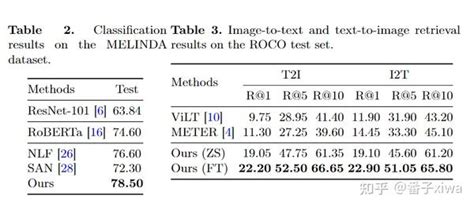 M3AE for modical pre training 知乎