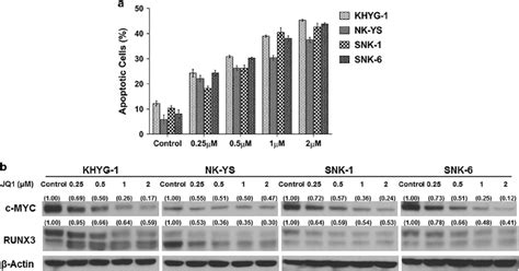 Effects Of Myc Inhibition In Nktl Cells Using Bet Bromodomain Inhibitor
